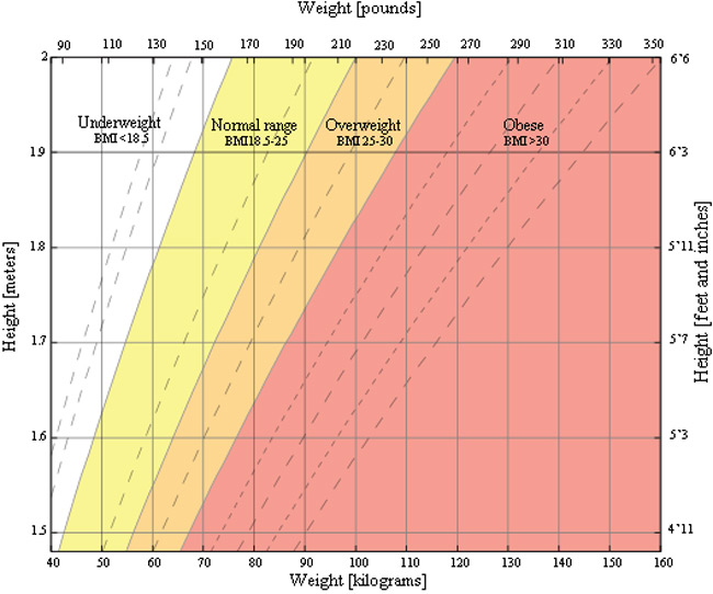 BMI For Women Women Fitness