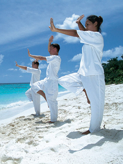 Qigong: China's 3000 year old system of self healing - Page1