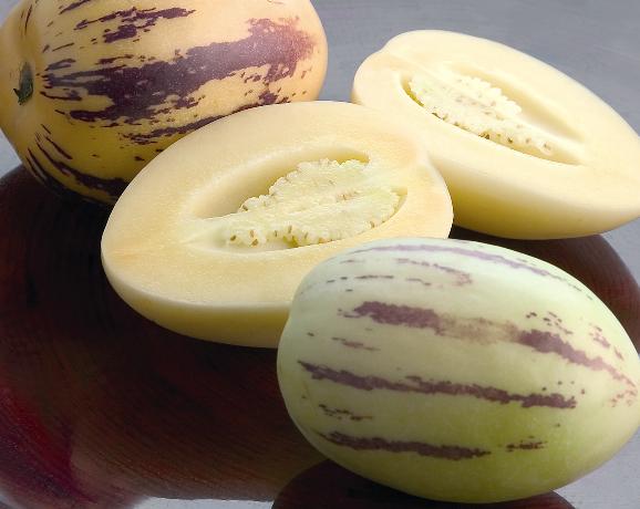 Pepino Melon: The Super Fruit - Women Fitness