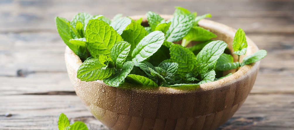 Top 10 Herbs To Keep You Cool In Summer - Women Fitness