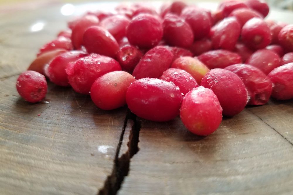 Health Benefits of Rarest and Exotic fruits of the world - Page 7 of 10 ...