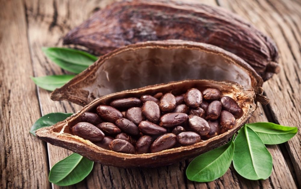 Counting health benefits of Cocoa - Women Fitness
