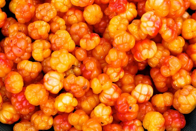 Encyclopedia of Health Benefits of Berries - Page 8 of 10 - Women Fitness