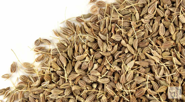 Anise Seeds - Women Fitness