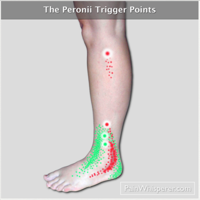 Trigger Point Therapy for Calf, Ankle & Foot Pain – HealthyVox