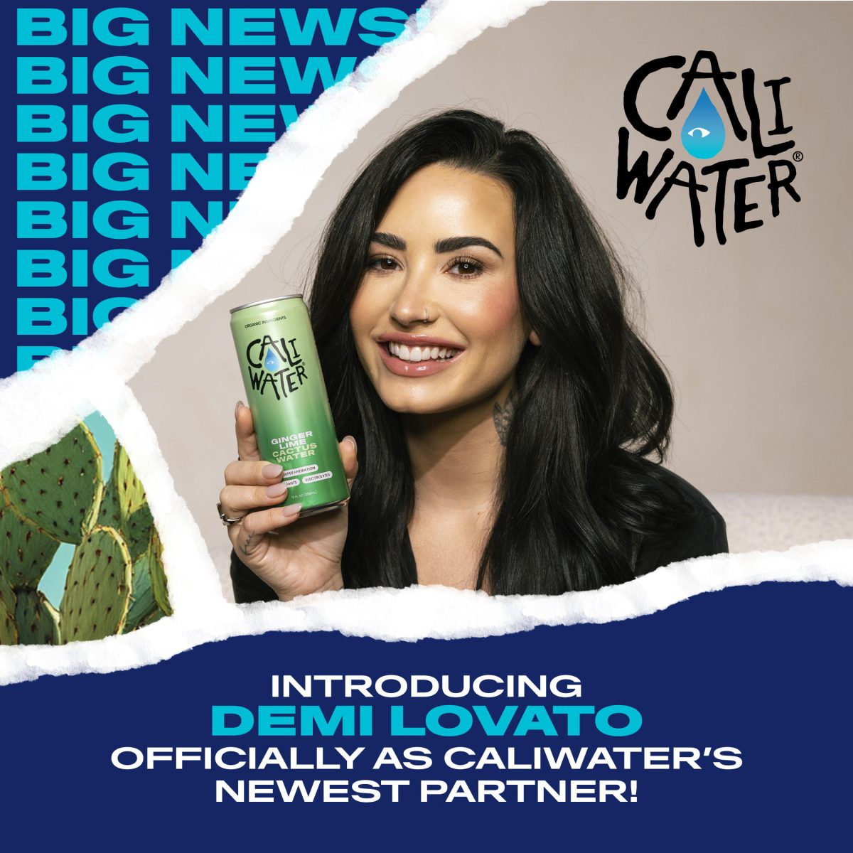 Demi Lovato Joins CaliwaterⓇ As Brand Partner, Marking A Continued ...